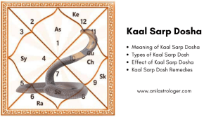 What is Kaal Sarp Dosh or Yog? | Kala Sarpa Dosha Remedies, Types & Effects